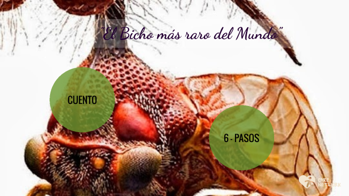 CUENTO: "EL BICHO MAS RARO" by carlos ochova on Prezi