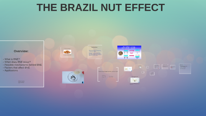 THE BRAZIL NUT EFFECT by Abhishek Bhardwaj on Prezi