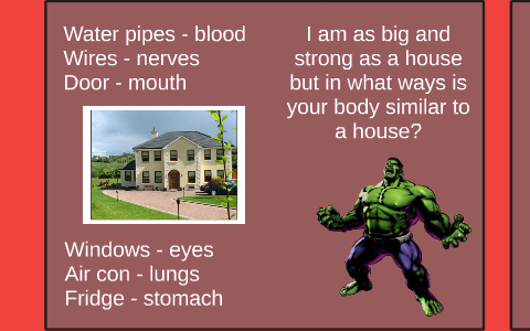 nervous system by David Gabb