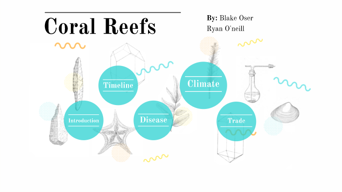 Coral Reefs by Blake Oser on Prezi
