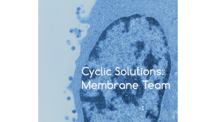 Cyclic Solutions: by Krista W on Prezi