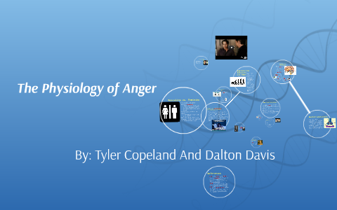 The Physiology of Anger by Tyler Copeland on Prezi