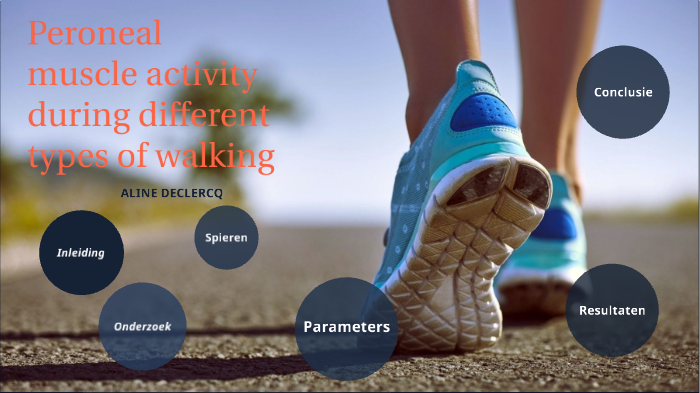 Peroneal muscle activity during different types of walking by Aline ...