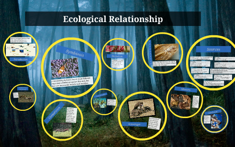 Ecological Relationship by Lizzie Stanford on Prezi