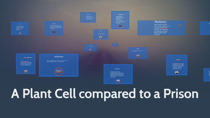 Cell City Project by Steven Anderson on Prezi