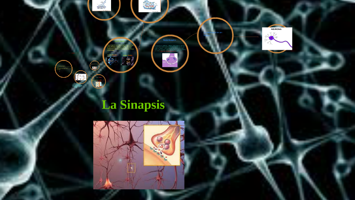 La Sinapsis by kevin mancilla on Prezi