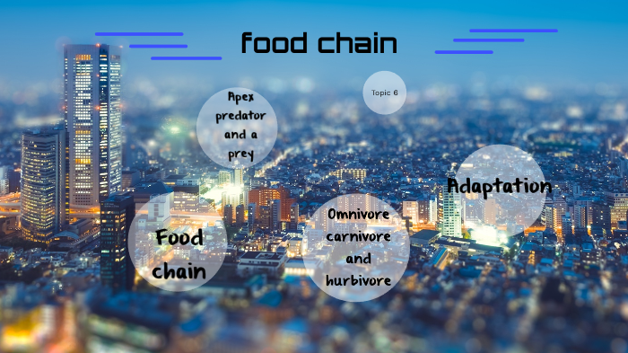Food chains caden by CADEN CIORROCCO on Prezi