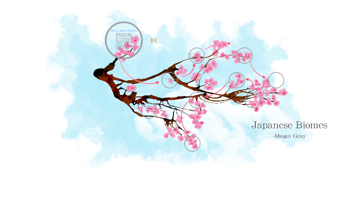 Japanese Biomes by Megan G. on Prezi