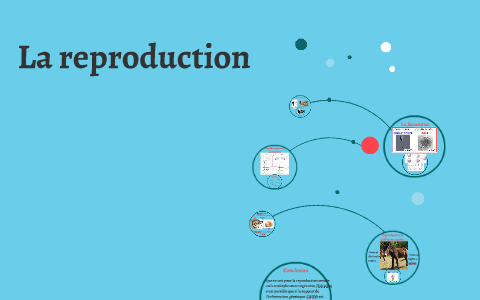 La reproduction by Pauline Pruvost on Prezi