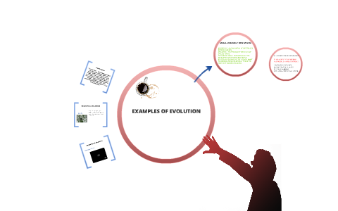 13:3 EXAMPLES OF EVOLUTION by RENEE EIS on Prezi