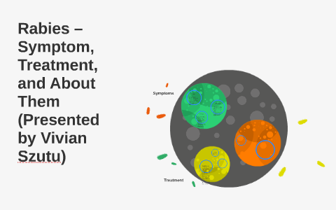 Rabies – Symptom, Treatment, and About Them (Presented by Vi by Vivian ...