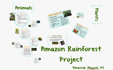 Amazon Rainforest Project by Amanda Happel on Prezi