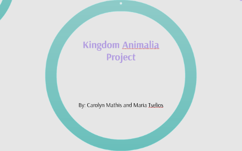 Kingdom Animalia Project by Carolyn Mathis on Prezi