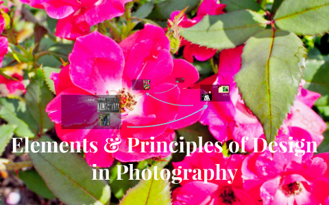 Elements & Principles of Design in Photography by Shyniece Smith