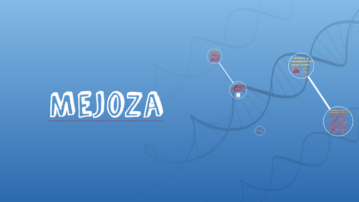 Mejoza by Angelika . on Prezi
