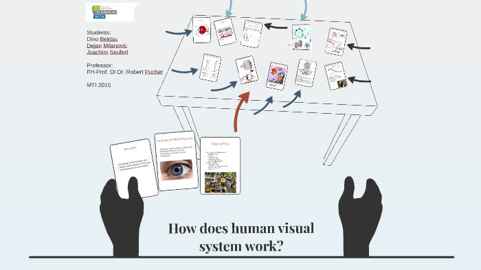 How human visual system works? by Dino Beks on Prezi