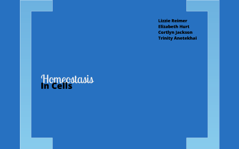 Homeostasis in Cells by Dan Reimer