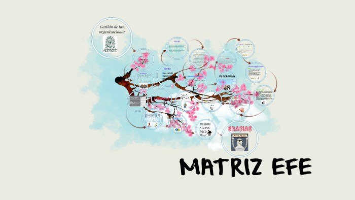 MATRIZ EFE by George Cañas on Prezi