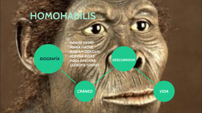 HOMOHABILIS by rosa Santana on Prezi