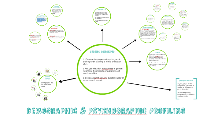 Demographics And Psychographics Examples