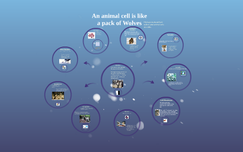 My topic is how wolf are the same with cells by Dustin Gonzales on Prezi