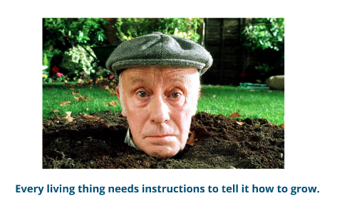 EMS - The Central Dogma of Biology by andrew bosson on Prezi