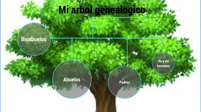 Family Tree by Conor Moran on Prezi