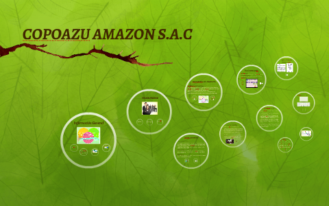 COPOAZU AMAZON S.A.C by david vera on Prezi