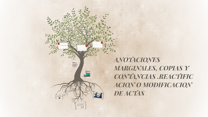 ANOTACIONES MARGINALES, COPIAS Y CONTANCIAS .REACTIFICACION by lizeth ...