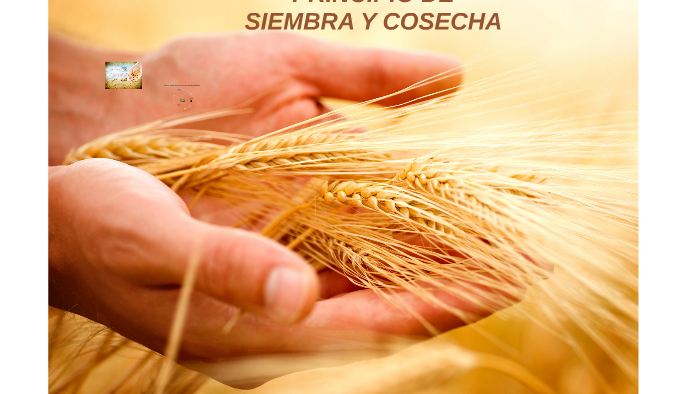 PRINCIPIO DE LA SIEMBRA Y LA COSECHA by Zayda Maria on Prezi