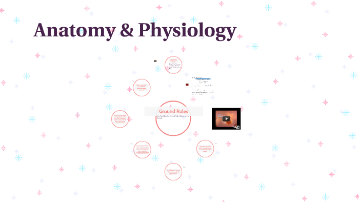 Anatomy & Physiology by mark kinzel on Prezi