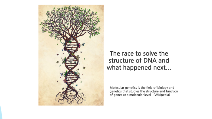 The race to solve the structure of DNA and what happened next by Amanda ...