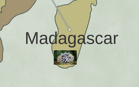 Madagascar by Haylee Hanson on Prezi