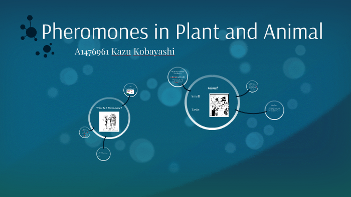 Pheromones in Plant and Animal by kazuki kobayashi on Prezi