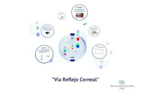 Vía Reflejo Corneal by Zeltzin Martínez on Prezi