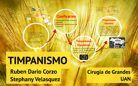 TIMPANISMO by Stephany Velasquez on Prezi