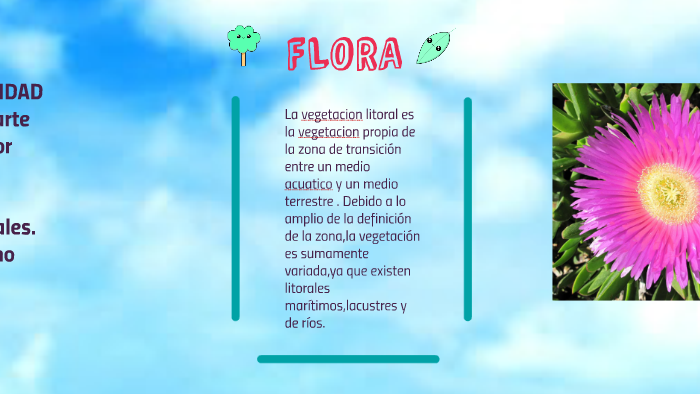 FAUNA Y FLORA DEL LITORA by Gabriel Falcon on Prezi