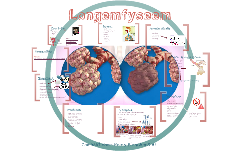 Longemfyseem by Romy Blenckers on Prezi