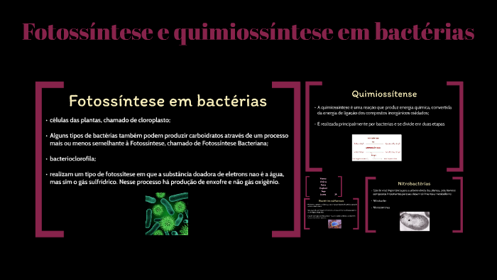 Fotossíntese e quimiossíntese em bacterias by vitoria santos on Prezi