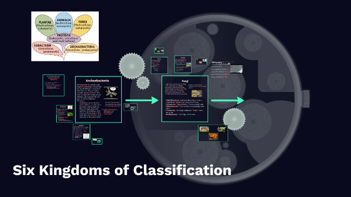 Six Kingdoms of Classification by Sausha Graves on Prezi