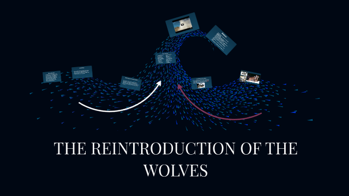 THE REINTRODUCTION OF THE WOLVES by Gabriella Gomez on Prezi