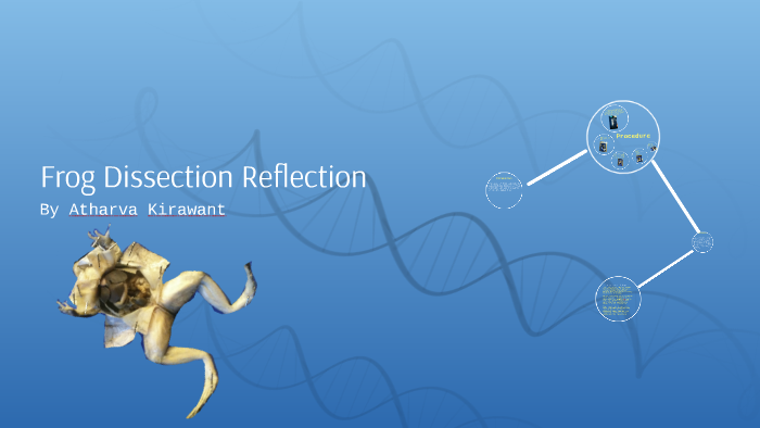 Frog Dissection Reflection by Atharva Kirawant on Prezi