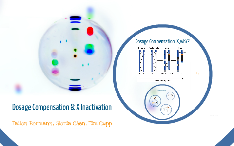 EPIGENETICS by Tim Cupp on Prezi