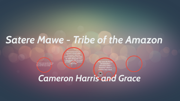 Satere Mawe - Tribe of the Amazon by Cameron Harris on Prezi