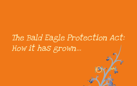 The Bald Eagle Protection Act by Amanda Cresanto on Prezi
