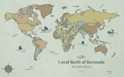 Bermuda Ecosystem by Stella Kirsch on Prezi