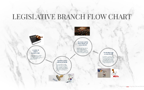 LEGISLATIVE BRANCH FLOW CHART by Duane benbow on Prezi