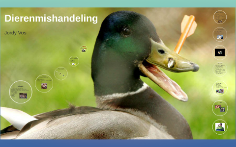 Dierenmishandeling by Danique Vos on Prezi