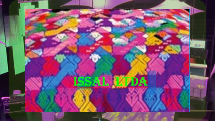 INSPECCIÓN by Zuly Cruz