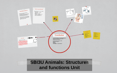 SBI3U Animals: Structures and functions Unit by Asha Abdi on Prezi